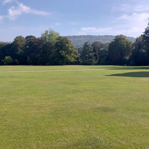 Stone Cricket Club – Website for Stone Cricket Club, Kent